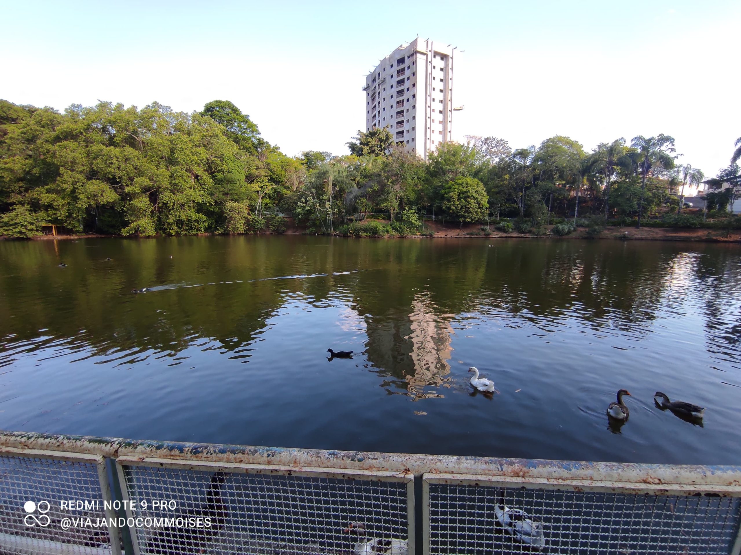 Quando ir a Varginha? Qual a melhor época para visitar? Veja aqui!