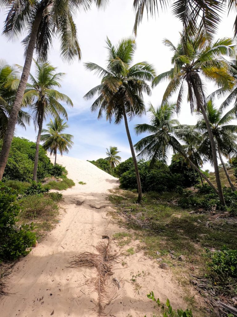 22 cidades de Alagoas para você conhecer e se encantar